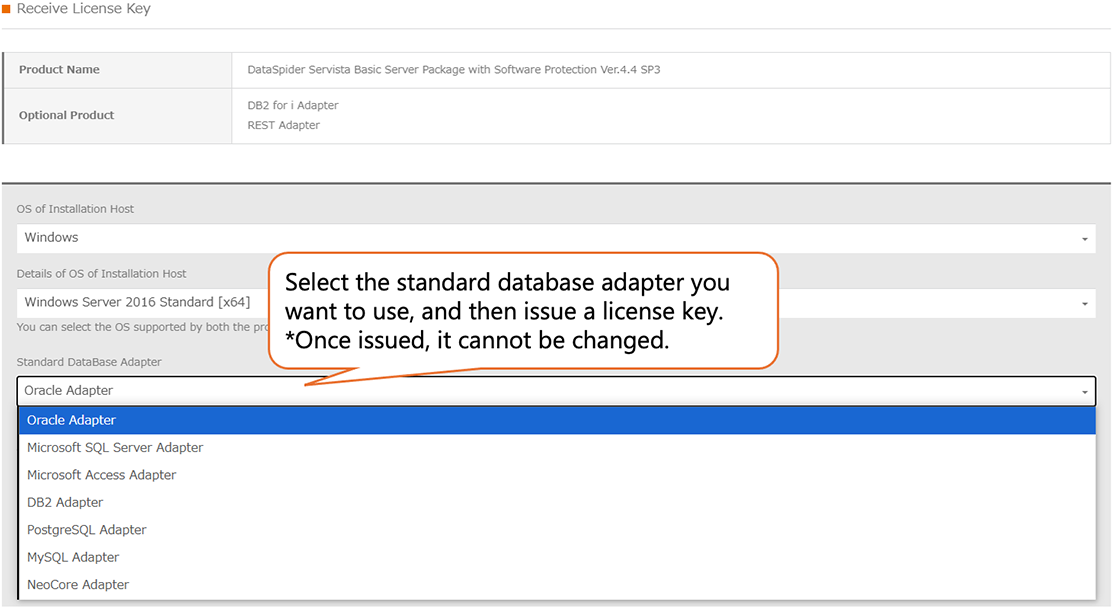 About the standard database adapter for DataSpider Servista Basic ...